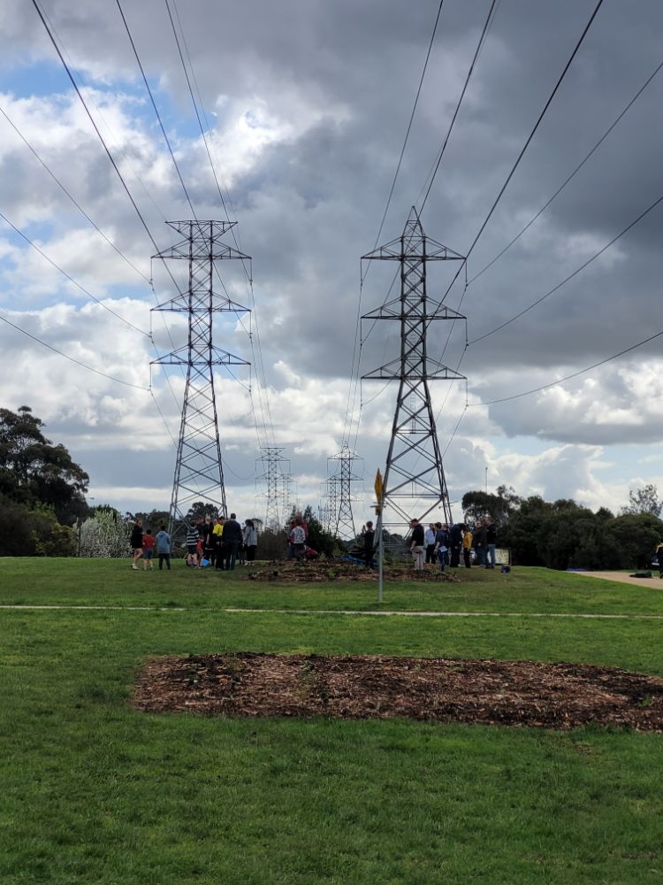 Telfer Reserve Planting with Banyule Council | Bundoora Scout Group