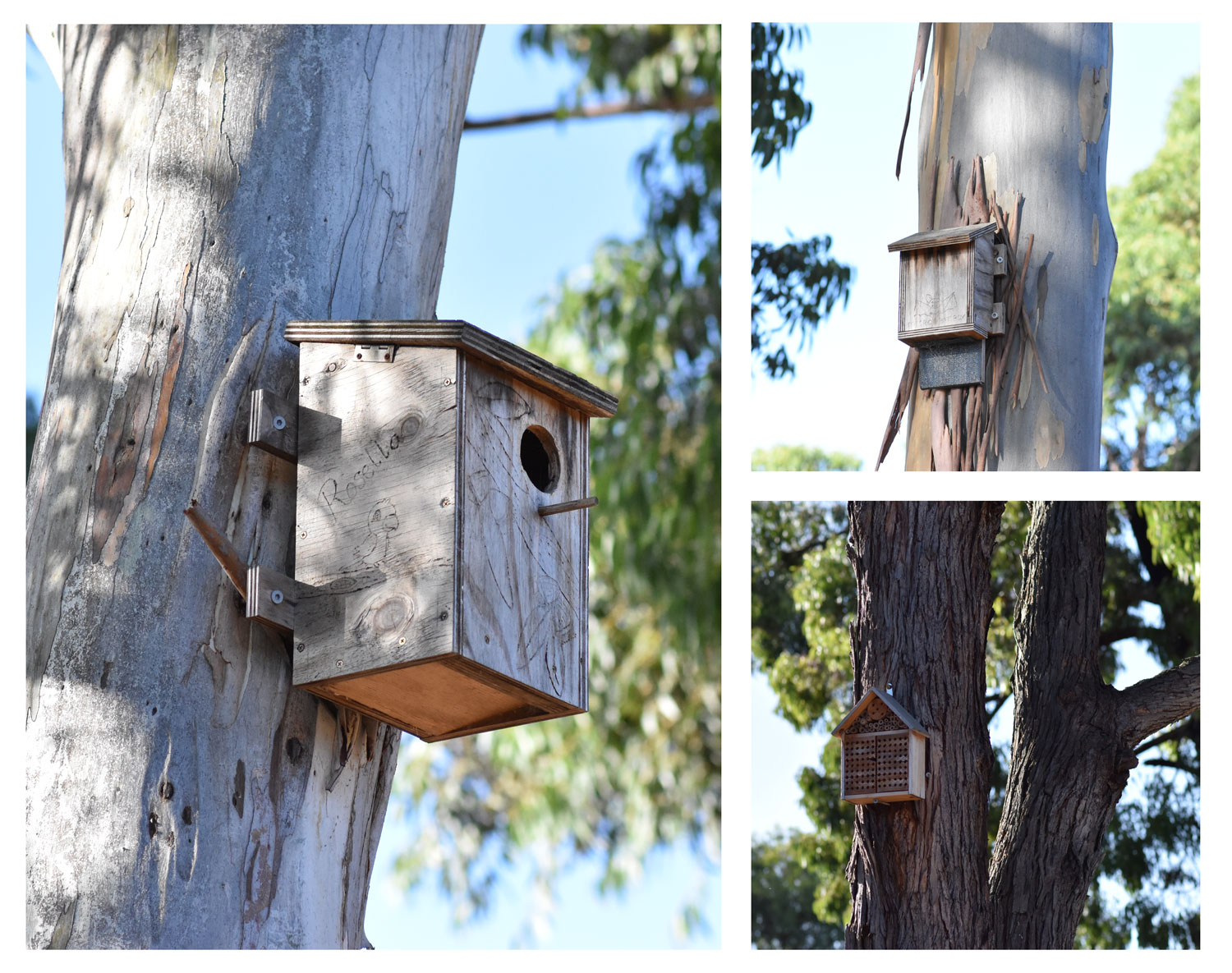 Bio Garden Finished | Bundoora Scout Group