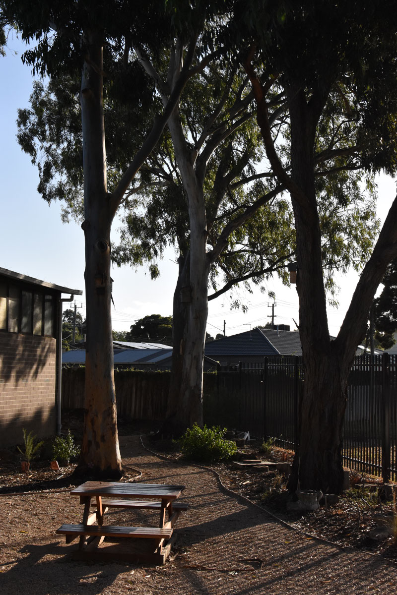 Bio Garden Finished | Bundoora Scout Group